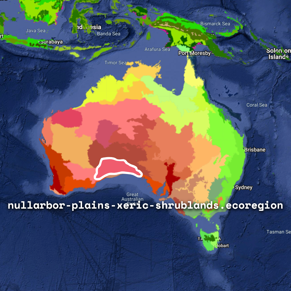 nullarbor-plains-xeric-shrublands.ecoregion | ensurance agents